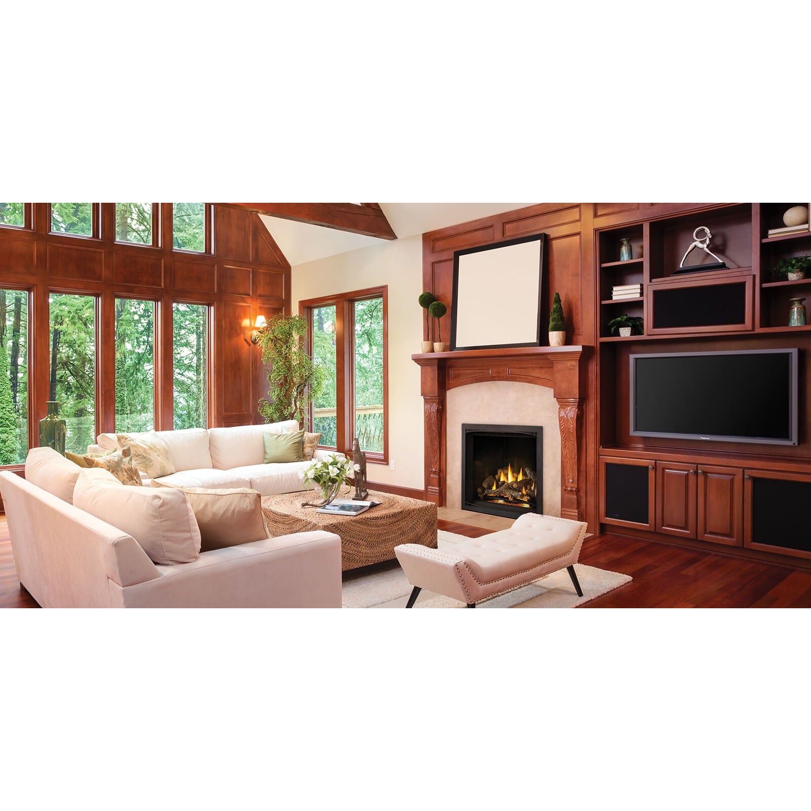 Napoleon Elevation X Series 36" Gas Fireplace – The Great Fire Company